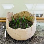 Gardens of Adonis: Women, Death, & the Senses – Death Scent